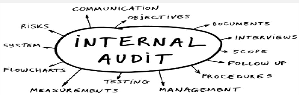 Internal Audit And Scope For “Other” Professionals
