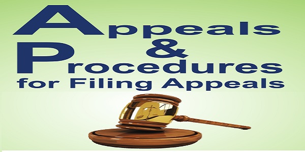 Appeals and Procedures for Filing Income Tax Appeals