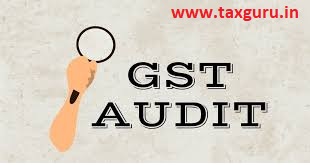 Types of Audit under GST