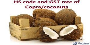 HS code and GST rate of Copra/coconuts