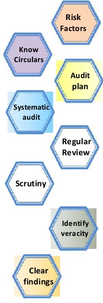 Model GST Audit Manual