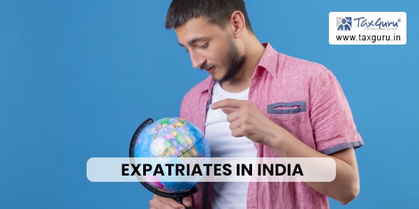 Work Structures of Expatriates in India