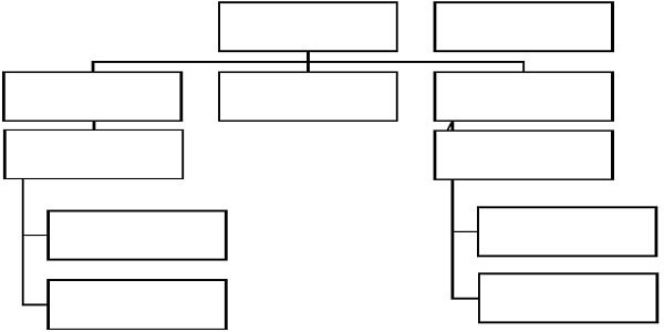 Nominee of Shares: SC Ruling on Absolute Ownership vs Succession Laws